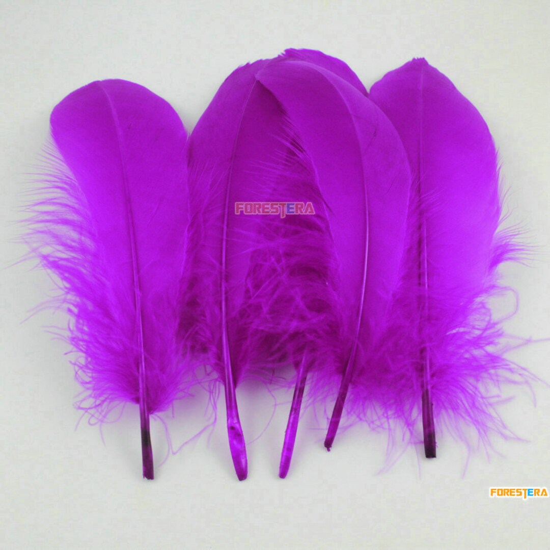50 Pieces Purple Feather 10-15cm (YM102) - Etsy