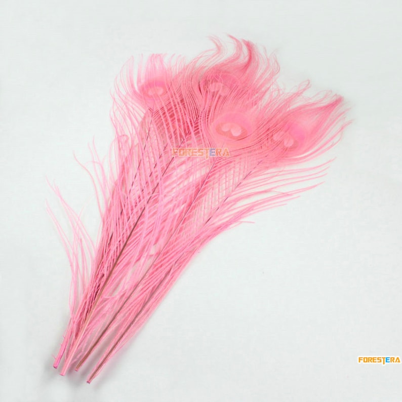 10 Pieces Pink Peacock Feather 25-30cm YM311 | Etsy