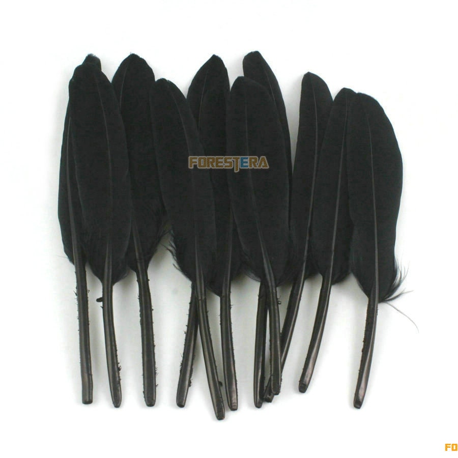 50 Piezas Pluma Negra 9-15cm YM141 | Etsy