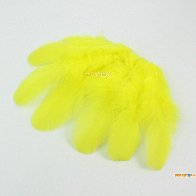100 Pieces Yellow Feather 4-9cm YM206 - Etsy