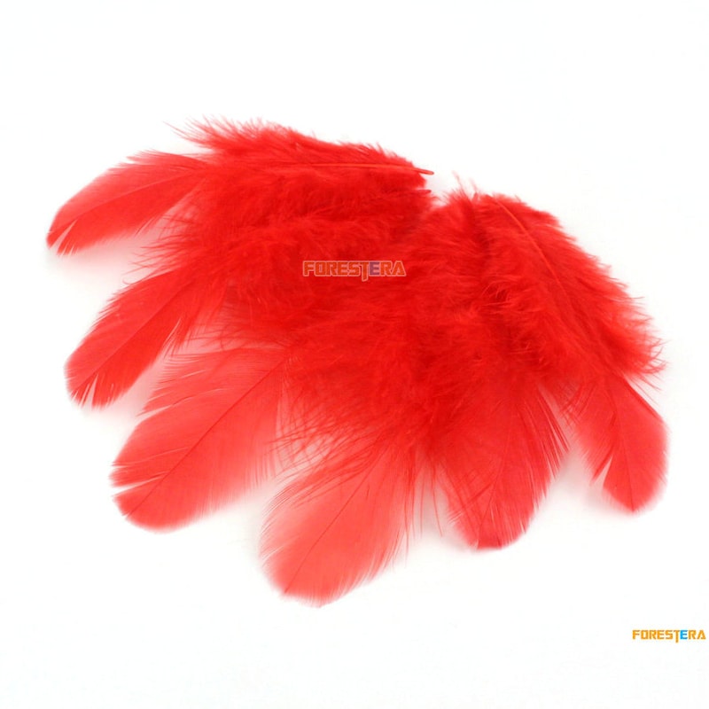 Red Feathers - Etsy