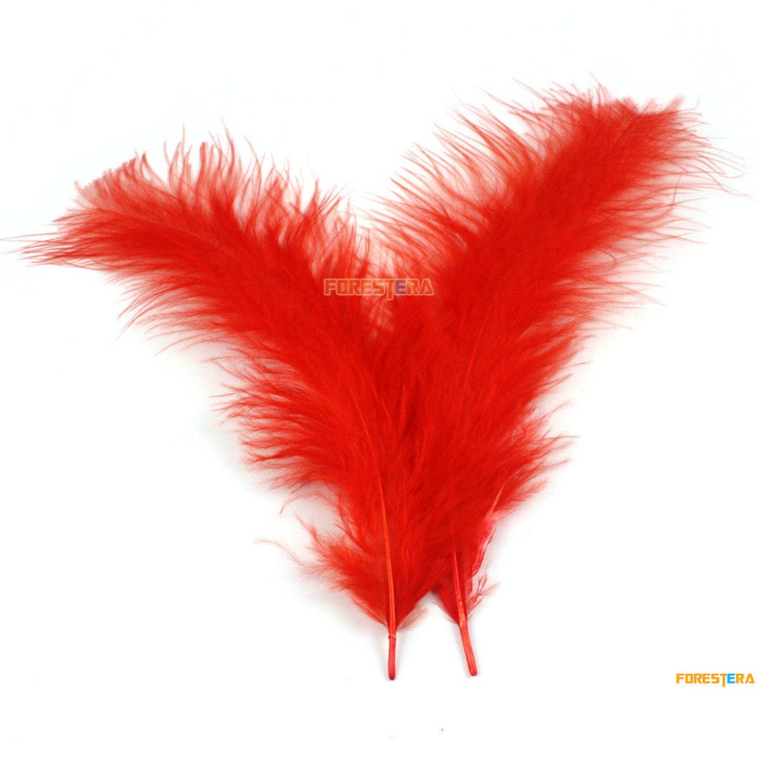 50 Pieces Red Feather 9-15cm (YM283) - Etsy