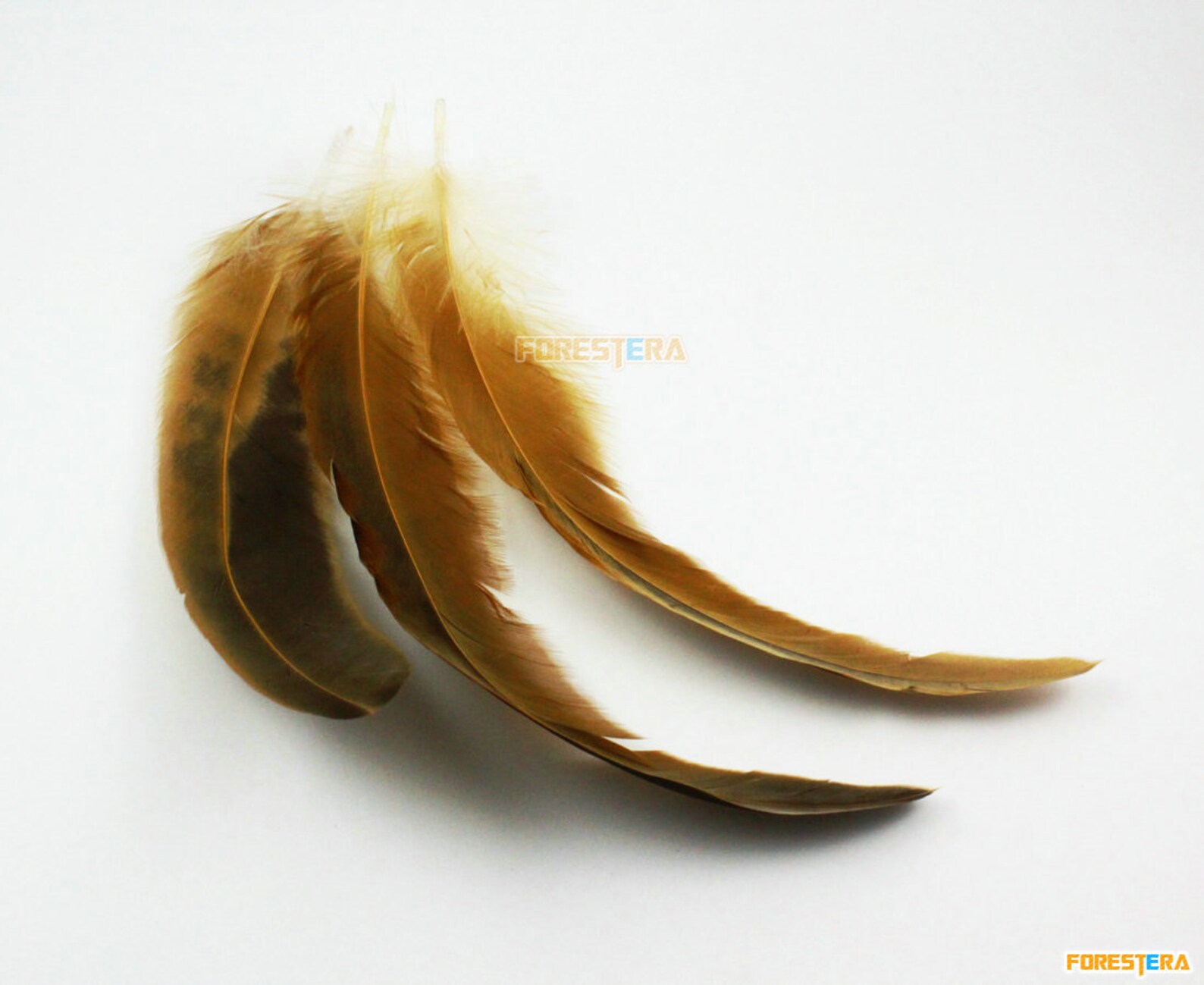 10 Pieces Brown Feather 18-30cm (YM67) - Etsy