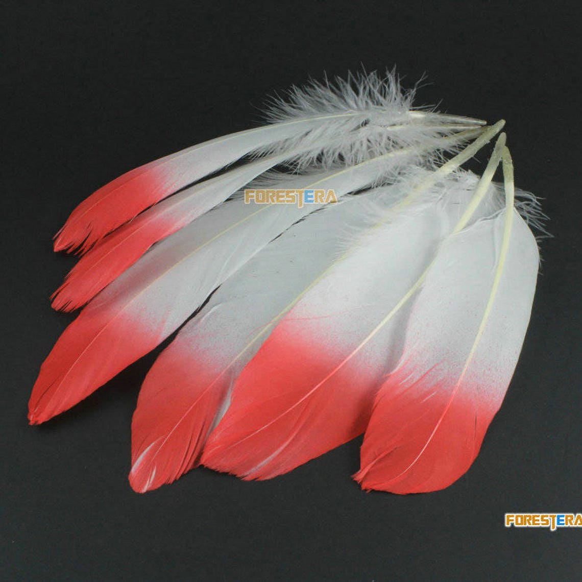 10 Pieces White Feather Red Painted Feather 14-20cm YM474 - Etsy UK
