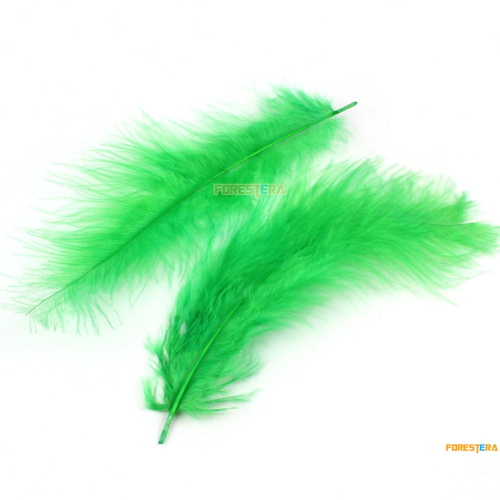 50 Pieces Green Feather 9-15cm YM279 - Etsy