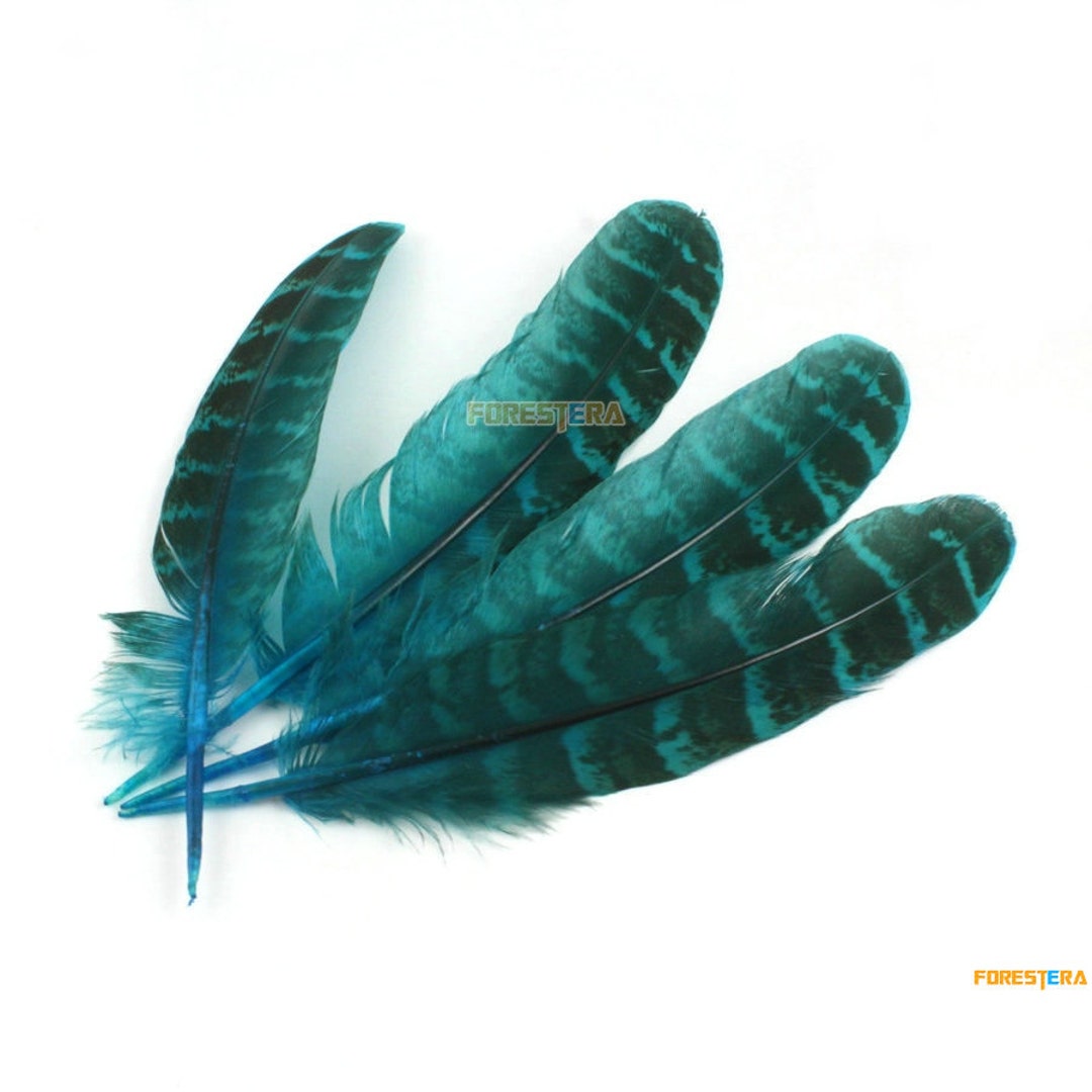 50 Pieces Blue Feather 13-15cm (YM319) - Etsy