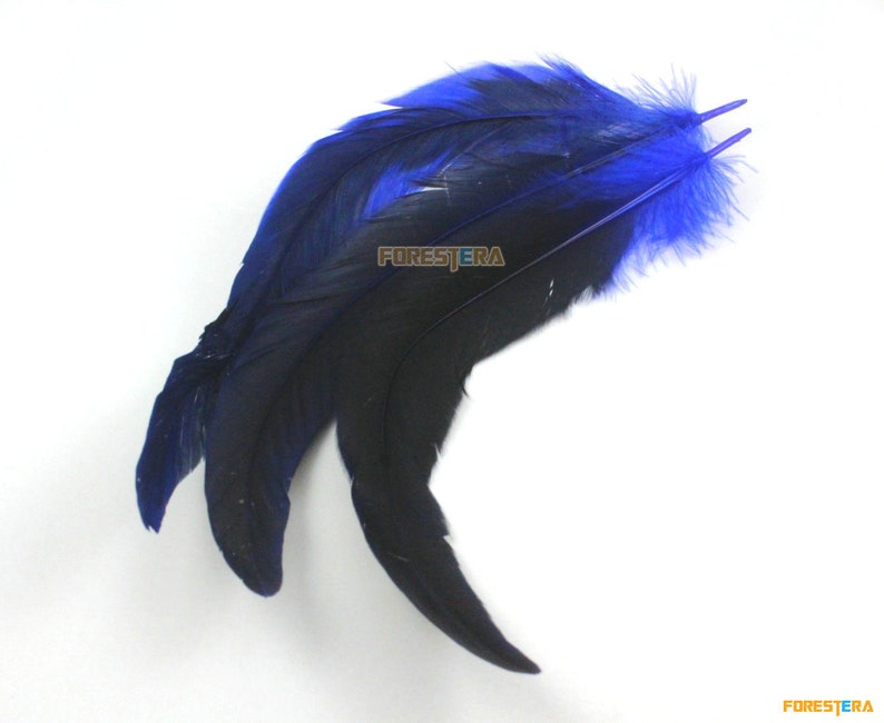 10 Pieces Blue Feather 18-30cm (YM66) - Etsy