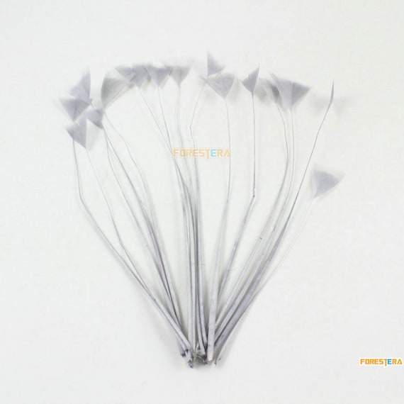 20 Piezas Pluma Gris 10-15cm YM565 | Etsy