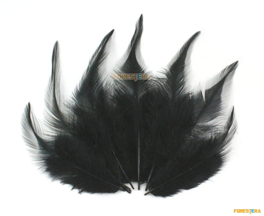 50 Piezas Pluma Negra 8-15cm YM47 - Etsy España