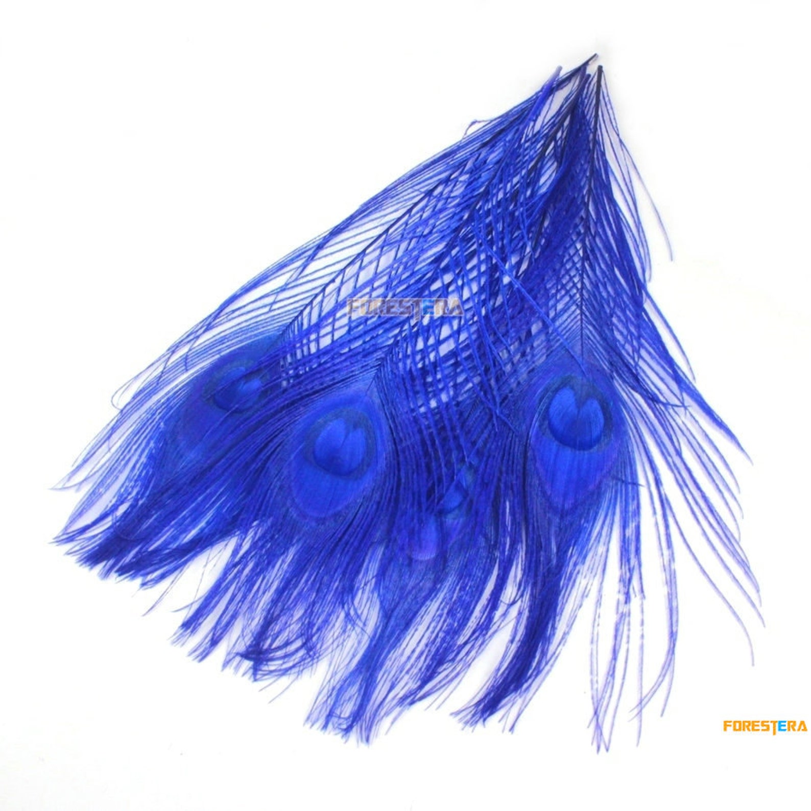 10 Pieces Blue Peacock Feather 25-30cm YM308 - Etsy