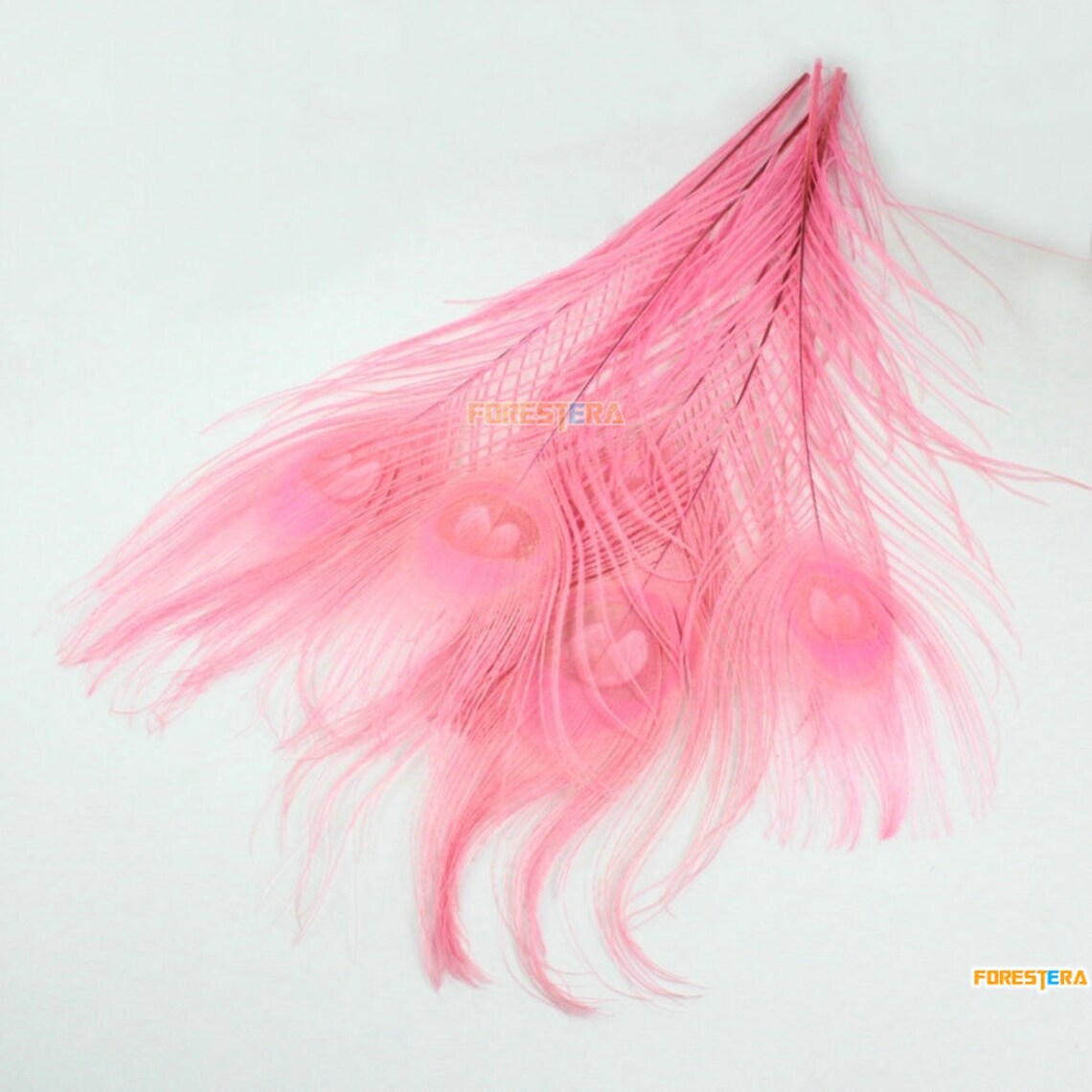 10 Pieces Pink Peacock Feather 25-30cm (YM311) - Etsy Australia
