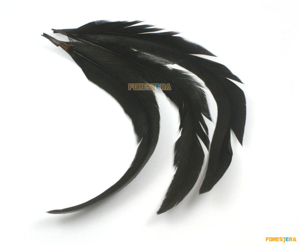 10 piezas pluma negra 18-30cm YM68 - Etsy España