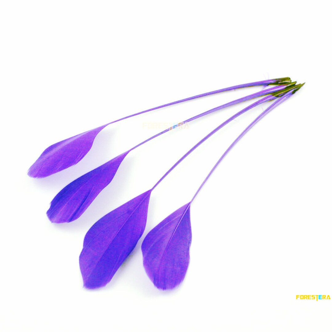 25 Pieces Purple Feather 15-20cm (YM172) - Etsy