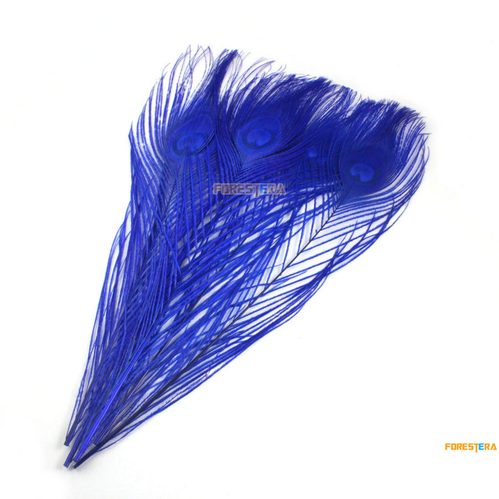 10 Pieces Blue Peacock Feather 25-30cm YM308 - Etsy