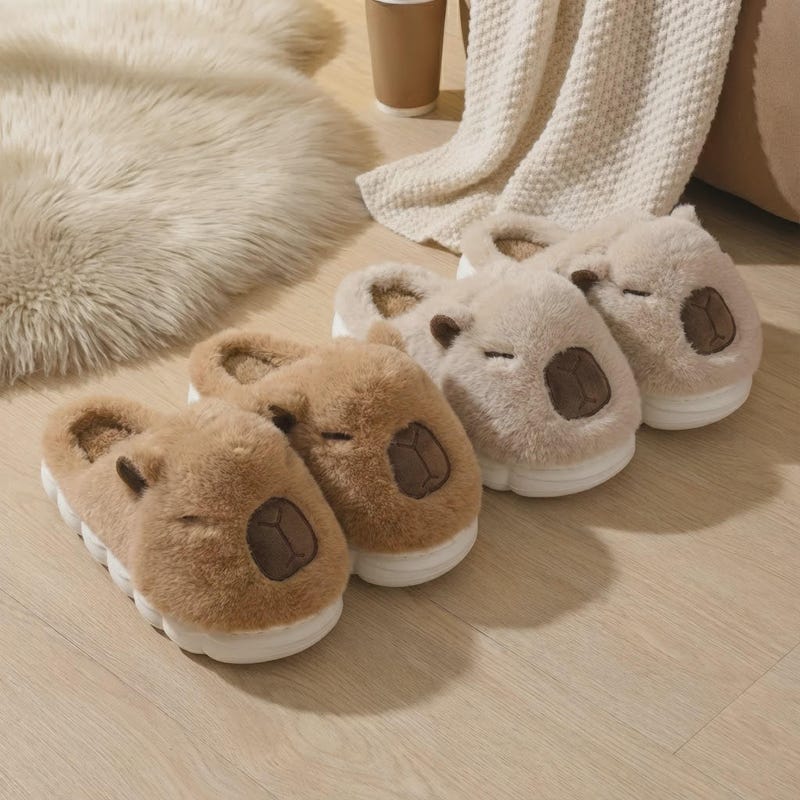 Capybara Slippers - Etsy UK
