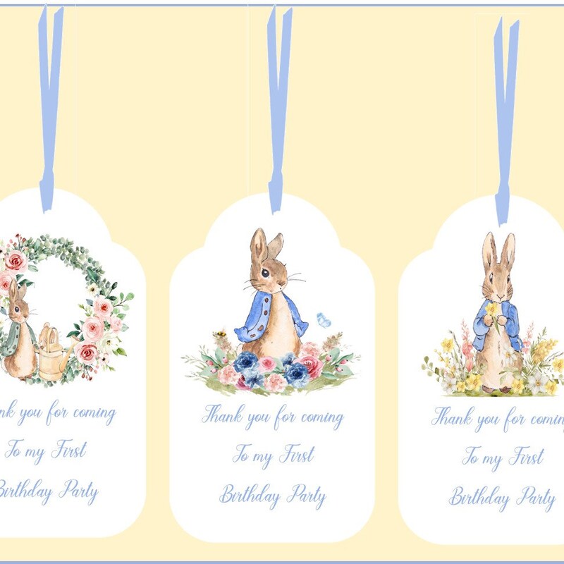 Peter Rabbit Tags - Etsy