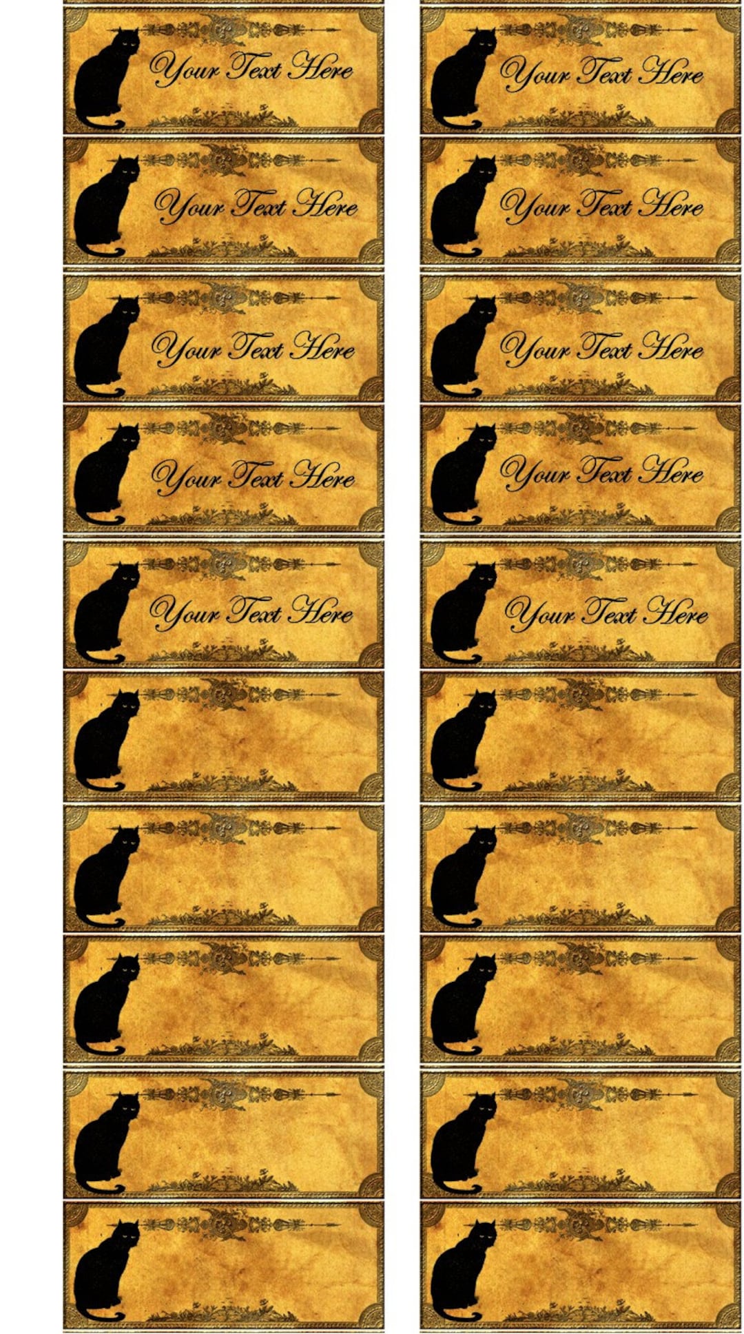 20 Cat Labels Glossy Laminated Personalized Spice Labels Cut Ready to ...