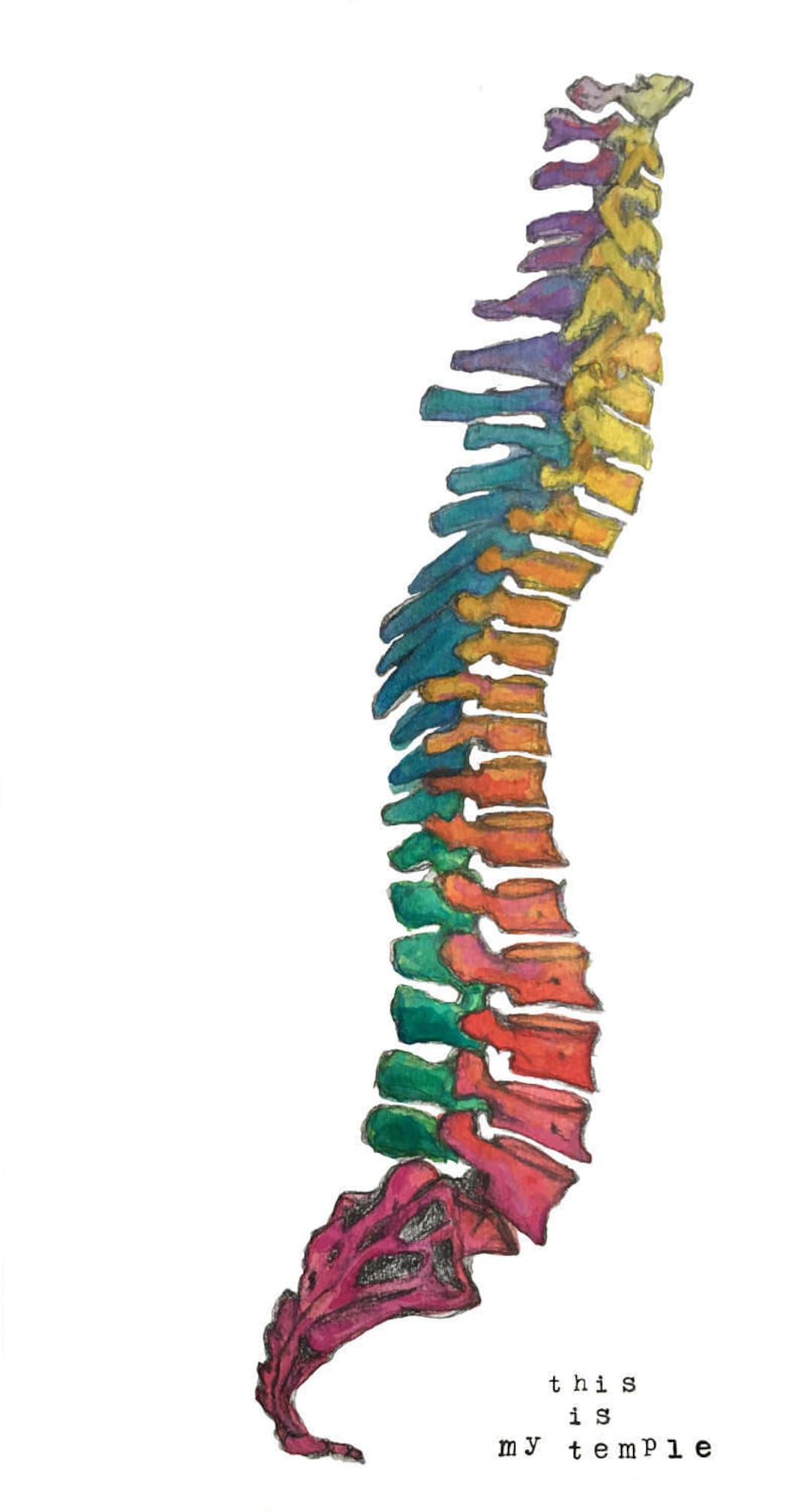 Rainbow Spine - Etsy