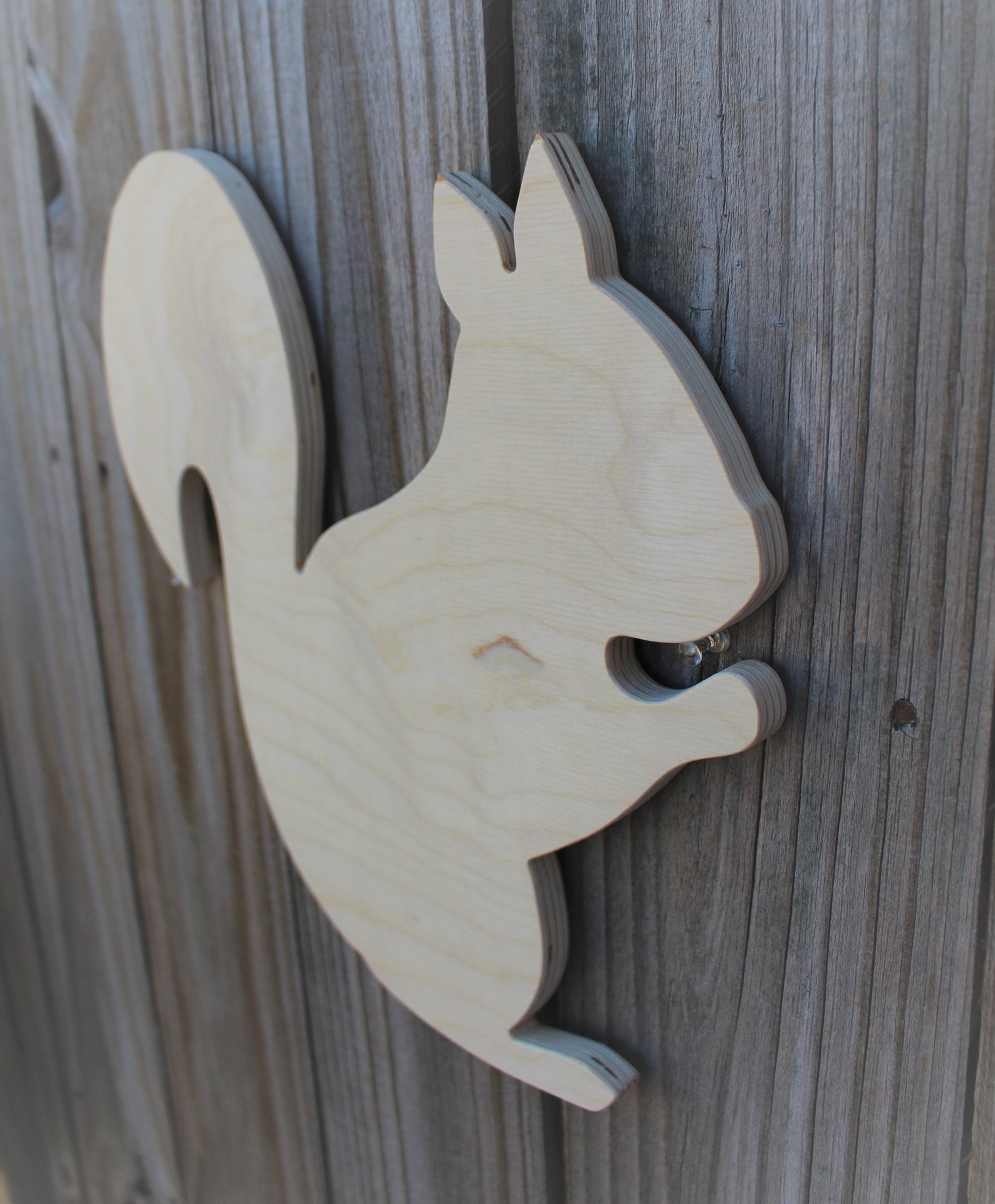 Squirrel Wood Shape Wood Cutout Wood Shape Wooden | Etsy