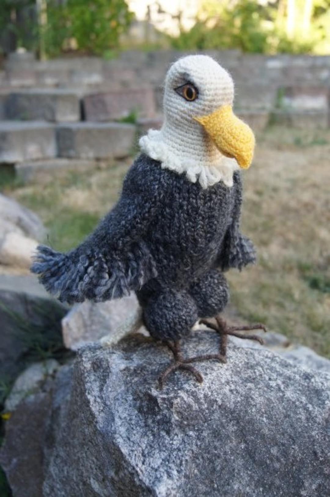 Young Eagle,knitting and Crochet Pattern - Etsy