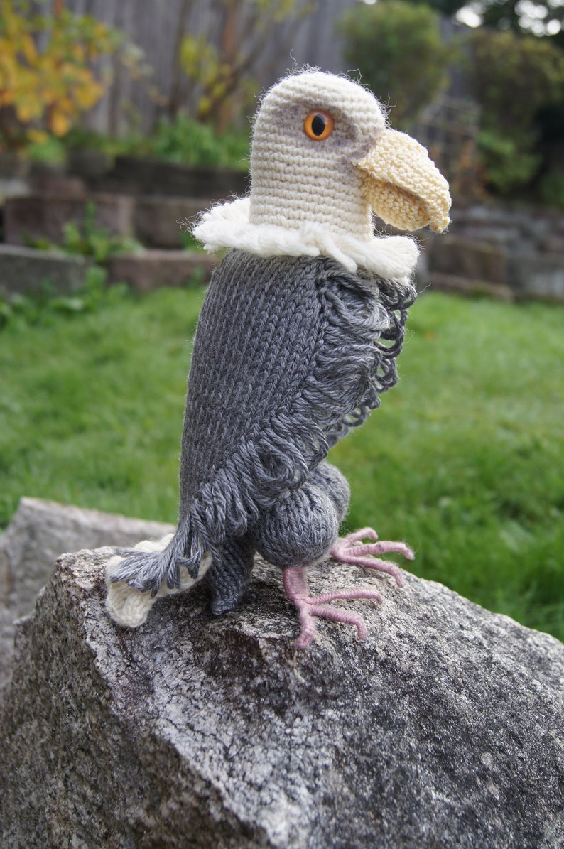 Young Eagle,knitting and Crochet Pattern - Etsy