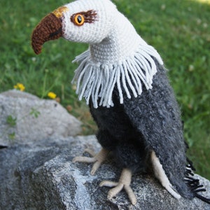 Young Eagle,knitting and Crochet Pattern - Etsy