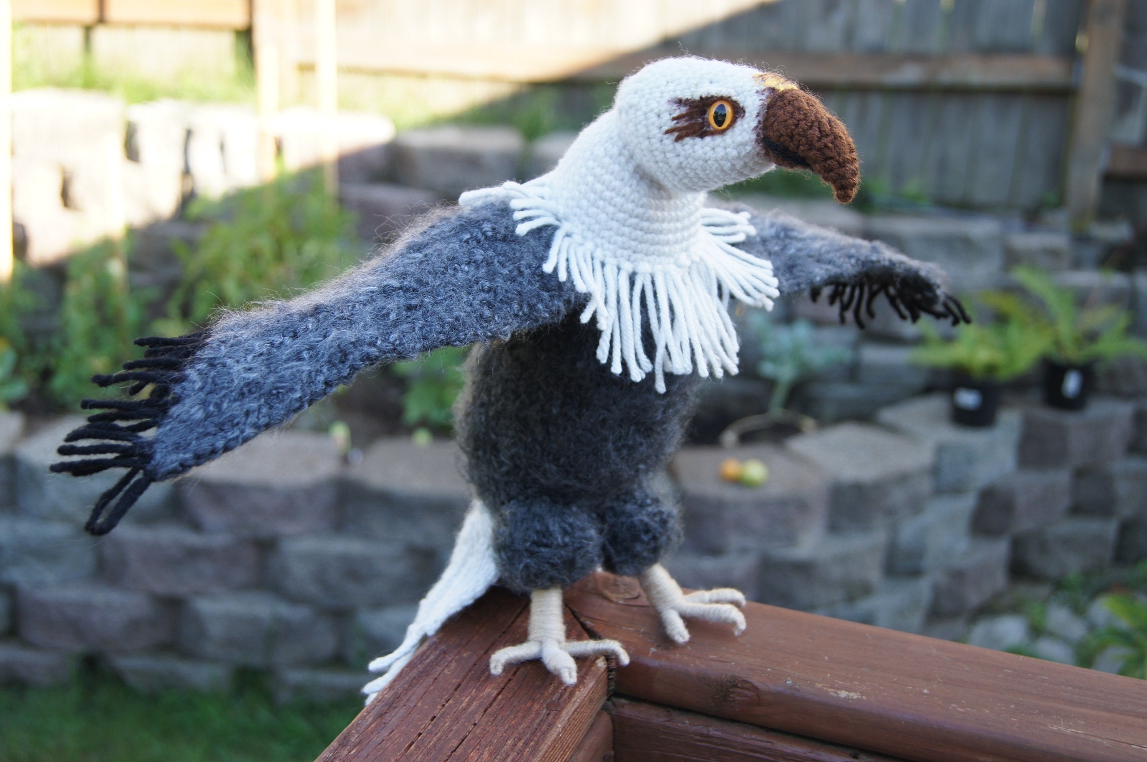 Young Eagle,knitting and Crochet Pattern - Etsy