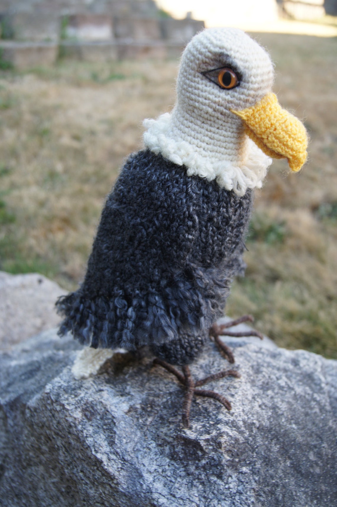 Young Eagle,knitting and Crochet Pattern - Etsy