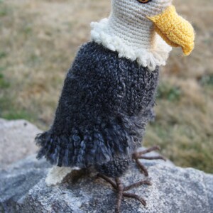 Young Eagle,knitting and Crochet Pattern - Etsy