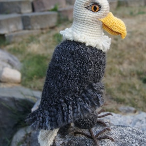 Young Eagle,knitting and Crochet Pattern - Etsy