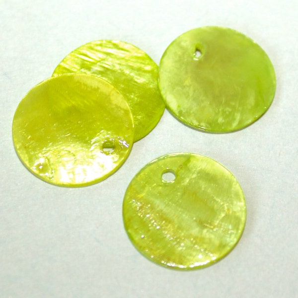 Flat Round Shell - Etsy