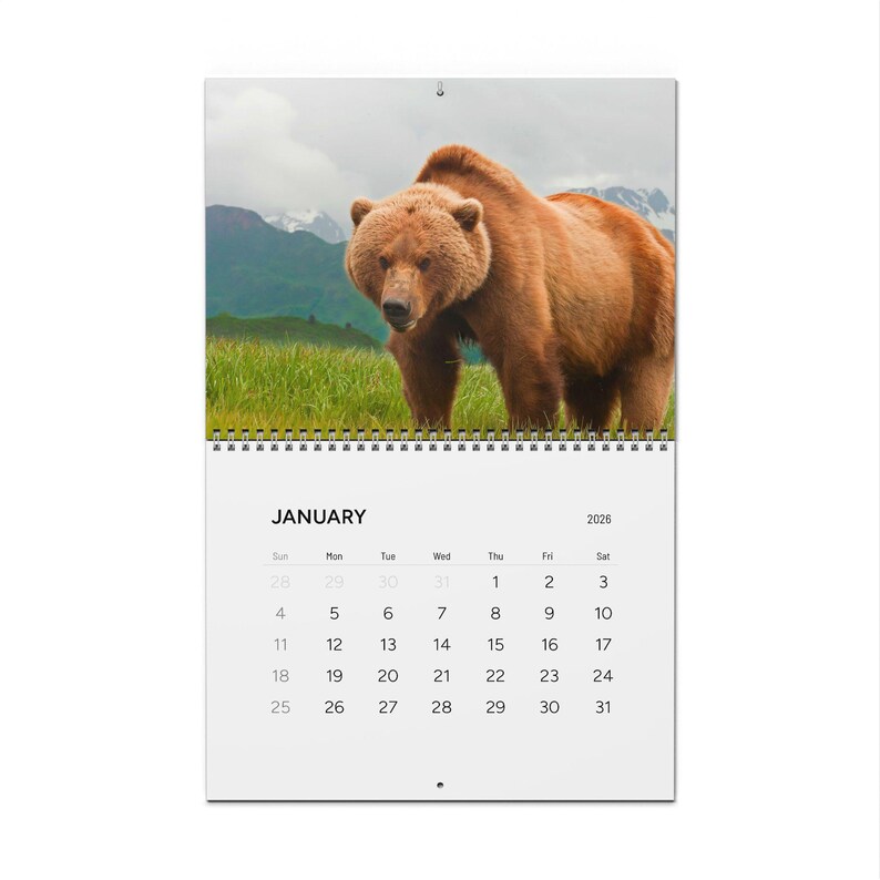 Bear Calendar 2026 Wall Calendar | Cute Woodland Bear Art | Monthly ...