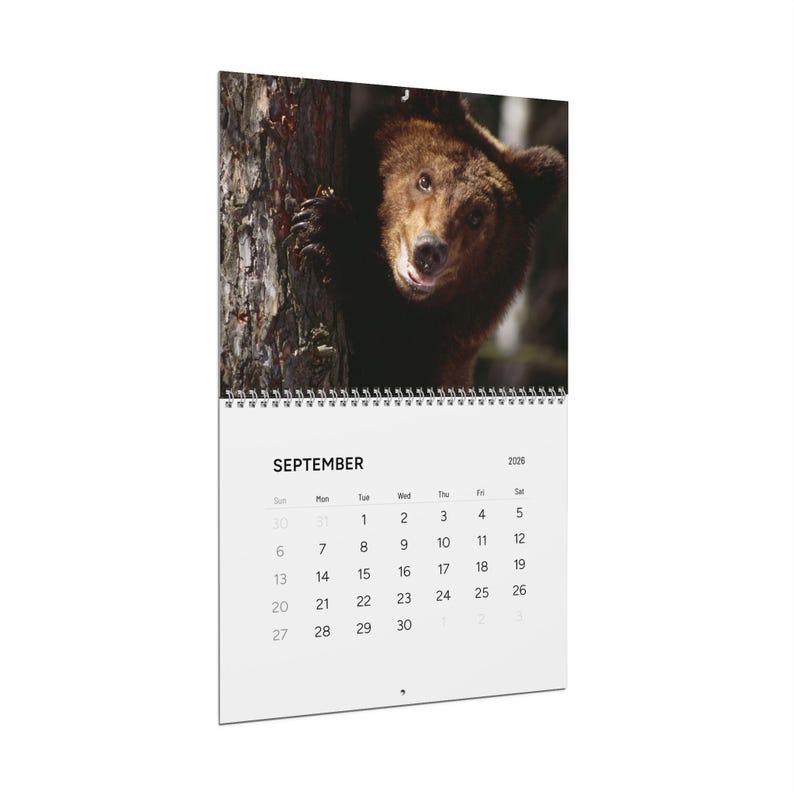 Bear Calendar 2026 Wall Calendar | Cute Woodland Bear Art | Monthly ...