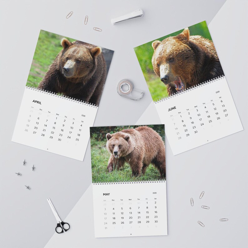 Bear Calendar 2026 Wall Calendar | Cute Woodland Bear Art | Monthly ...