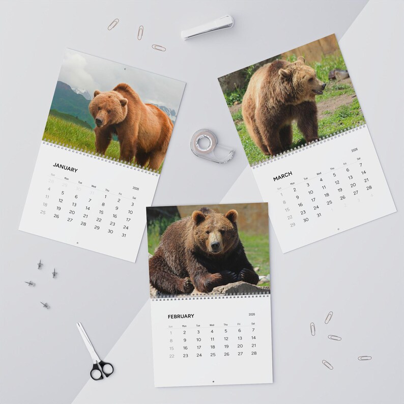 Bear Calendar 2026 Wall Calendar | Cute Woodland Bear Art | Monthly ...