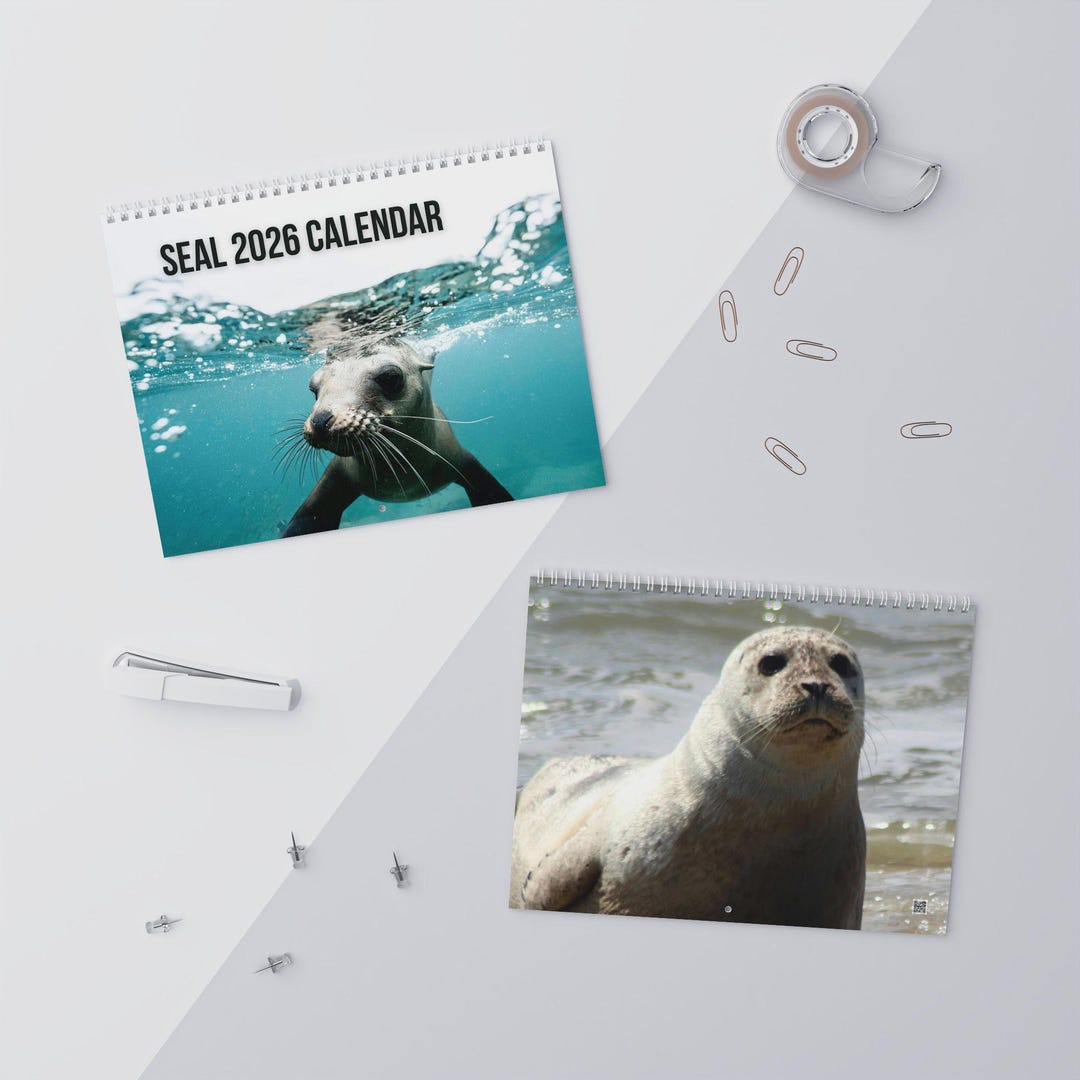 Seal Calendar 2026 Wall Calendar | Cute Ocean Seal Art | Monthly Sea ...