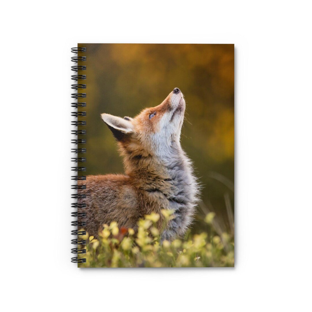 Curious Red Fox Spiral Notebook | Ruled Lined Journal - Etsy