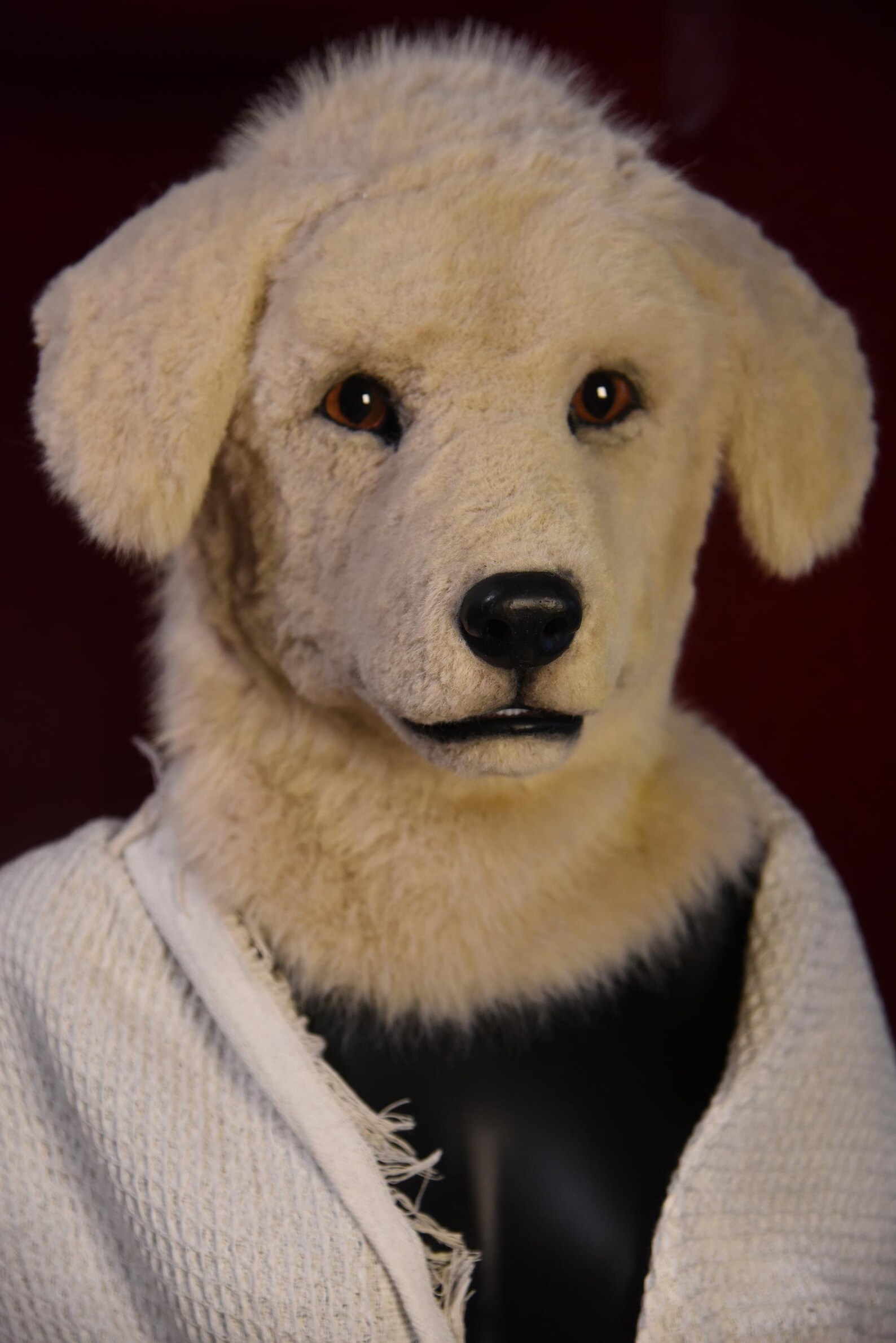Handmade Golden Retriever Fursuit Head, Cosplay Costume Mask - Etsy