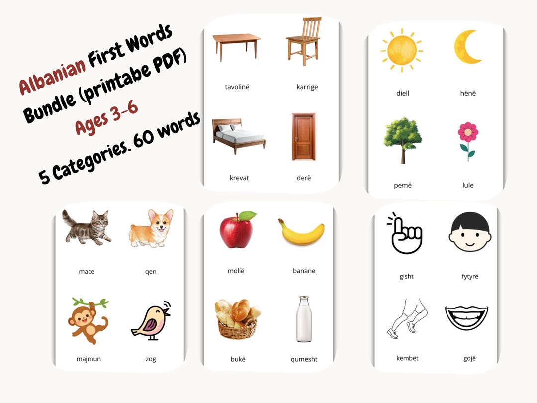 Albanian First Words Printable Cards Bundle | 60 Vocabulary Cards ...