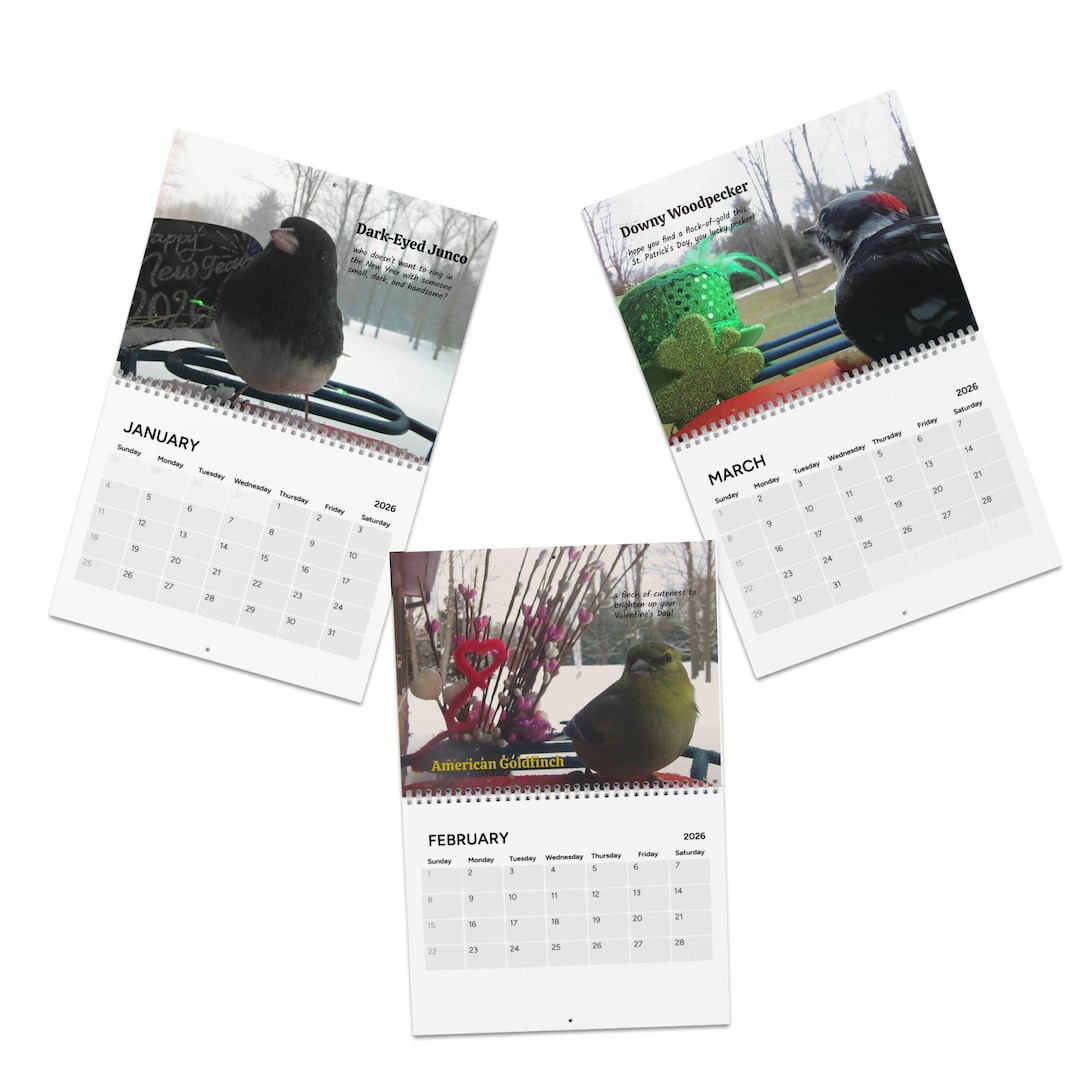 Punny Edition: Say Yes to the Birds - Calendar (2026) - Etsy