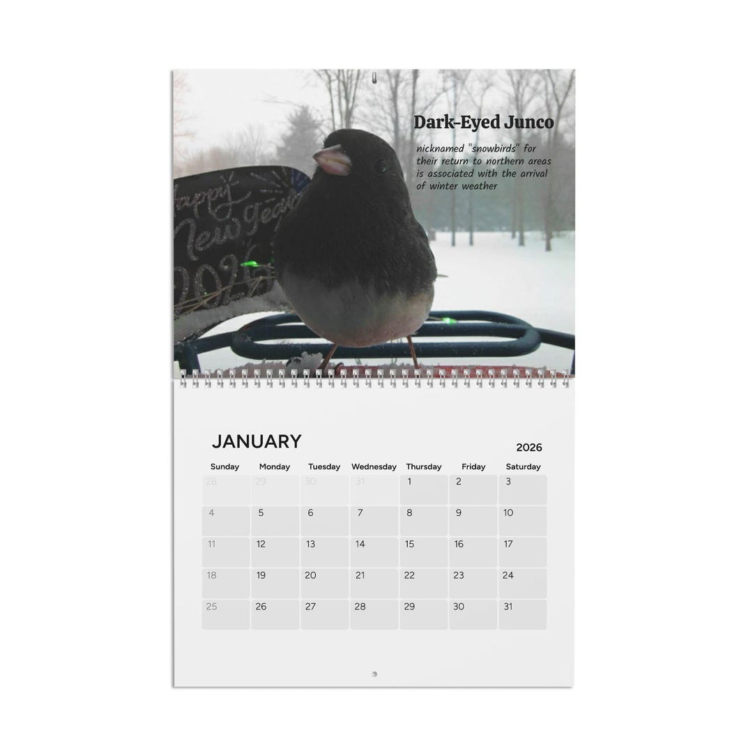 Say Yes to the Birds - Calendar (2026) - Etsy