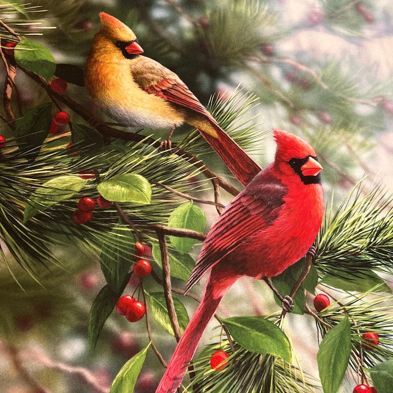 Cardinal Fabric - Etsy