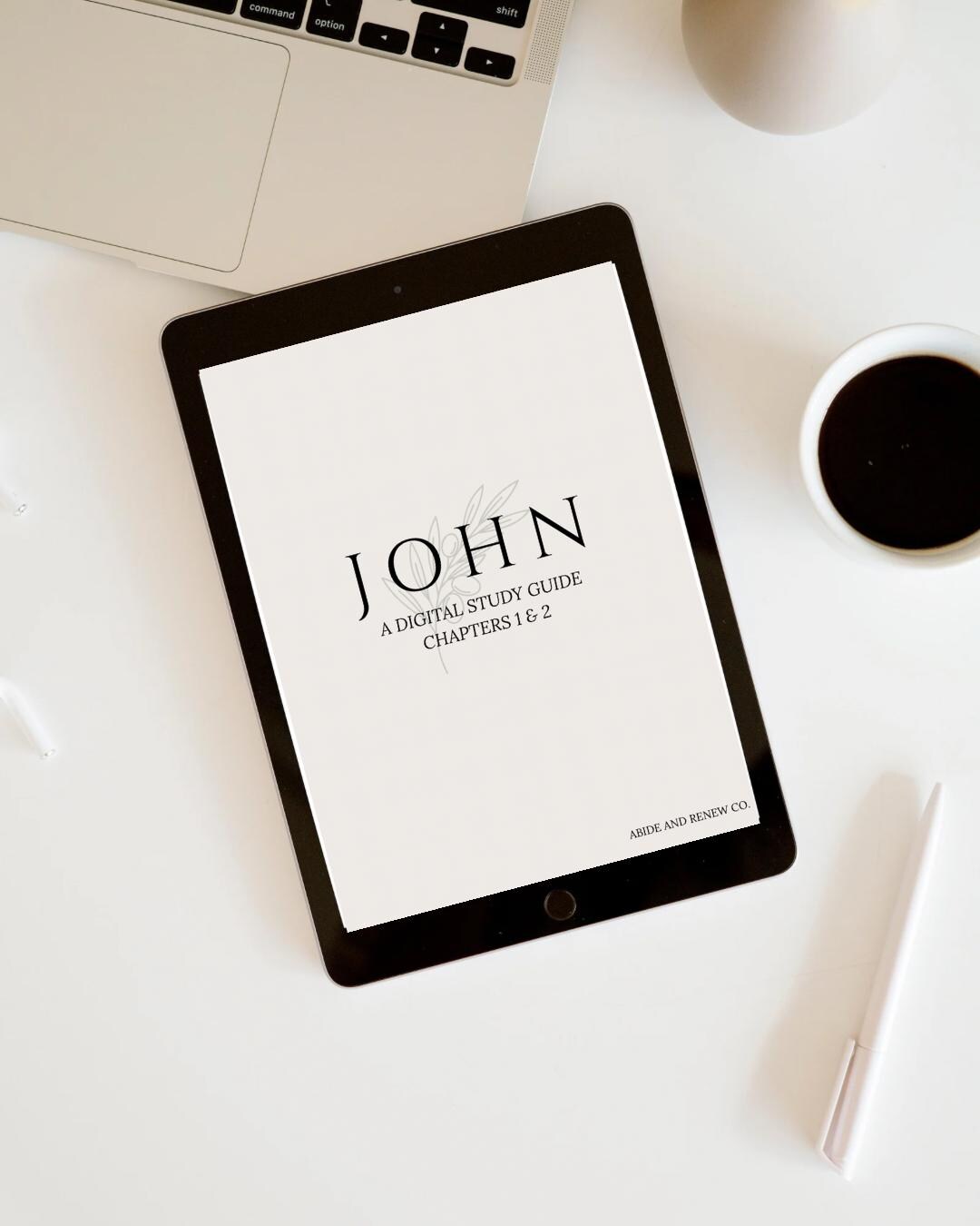John Chapters 1 & 2 Bible Study Guide | Printable Scripture Journal ...