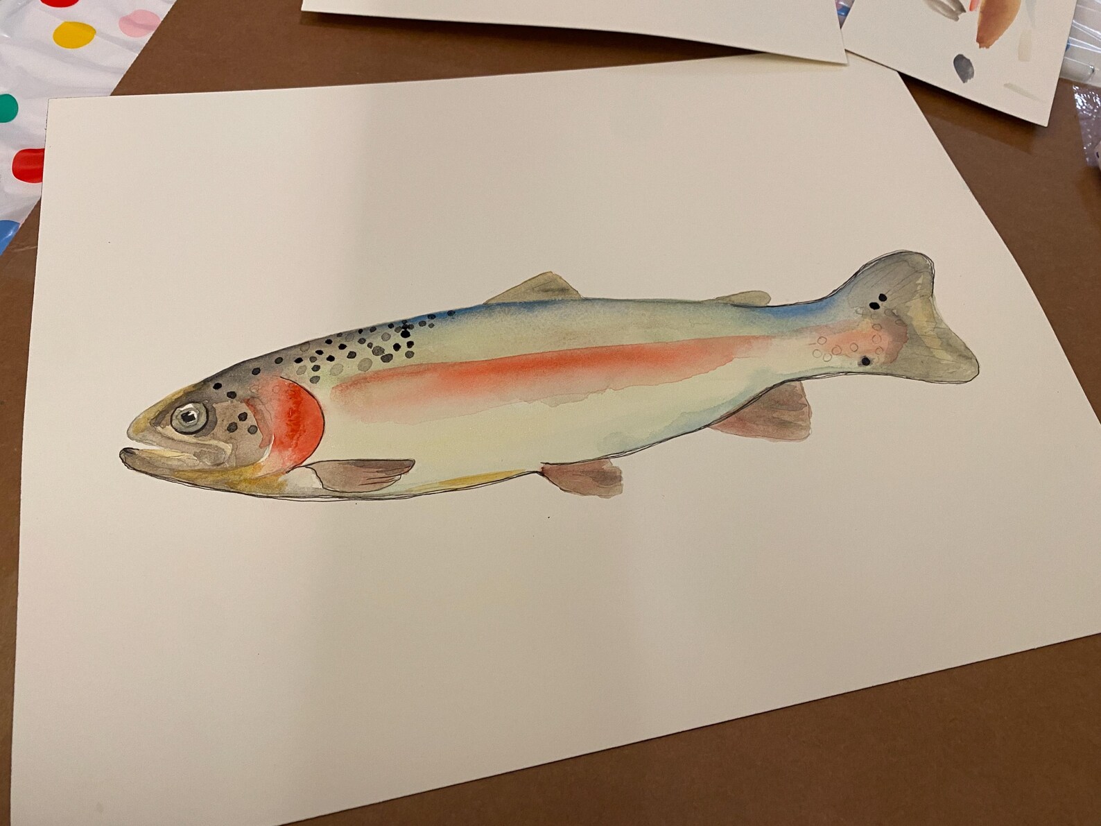 12X16 Watercolor Painting of Rainbow Trout, Watercolor & Ink ...