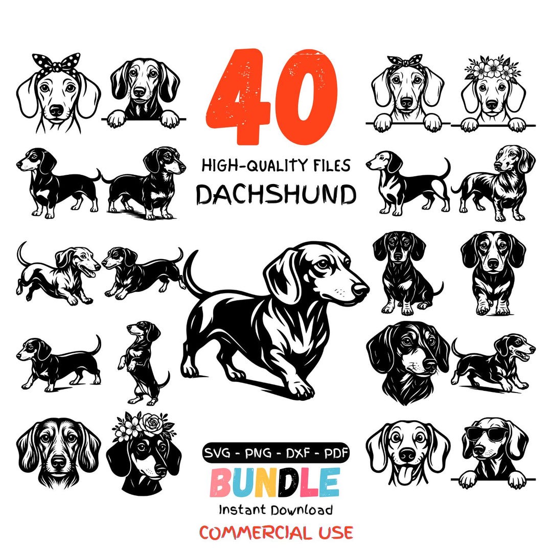 Dachshund SVG Bundle | 40 Dog Clipart Set, Wiener Dog Vector, PNG Dxf ...