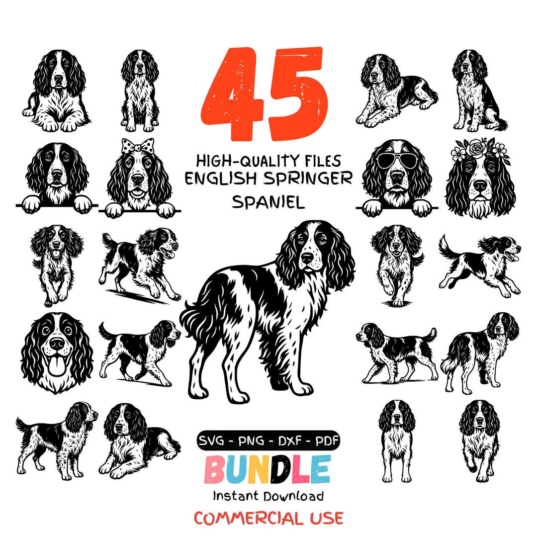 English Springer Spaniel SVG Bundle | Springer Spaniel Clipart & Cut ...
