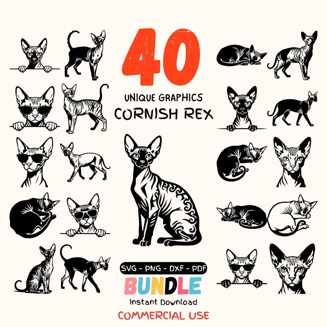 Cornish Rex Cat SVG Bundle With 40 Unique Graphics for Crafting, Shirts ...