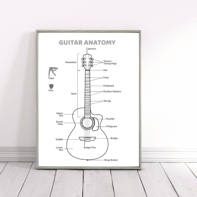 Music Parts of A Guitar: Anatomy of the String Instrument, Digital ...