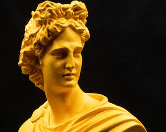 Roman Bust Replica - Etsy