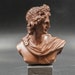 Greek-roman God Apollo Bust Small Statue, Apollo Belvedere Museum ...